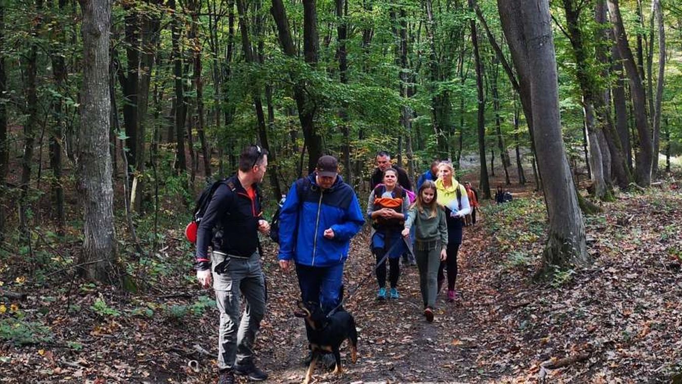 Erdőfürdő – így túráztunk a déli Balaton-part tájain