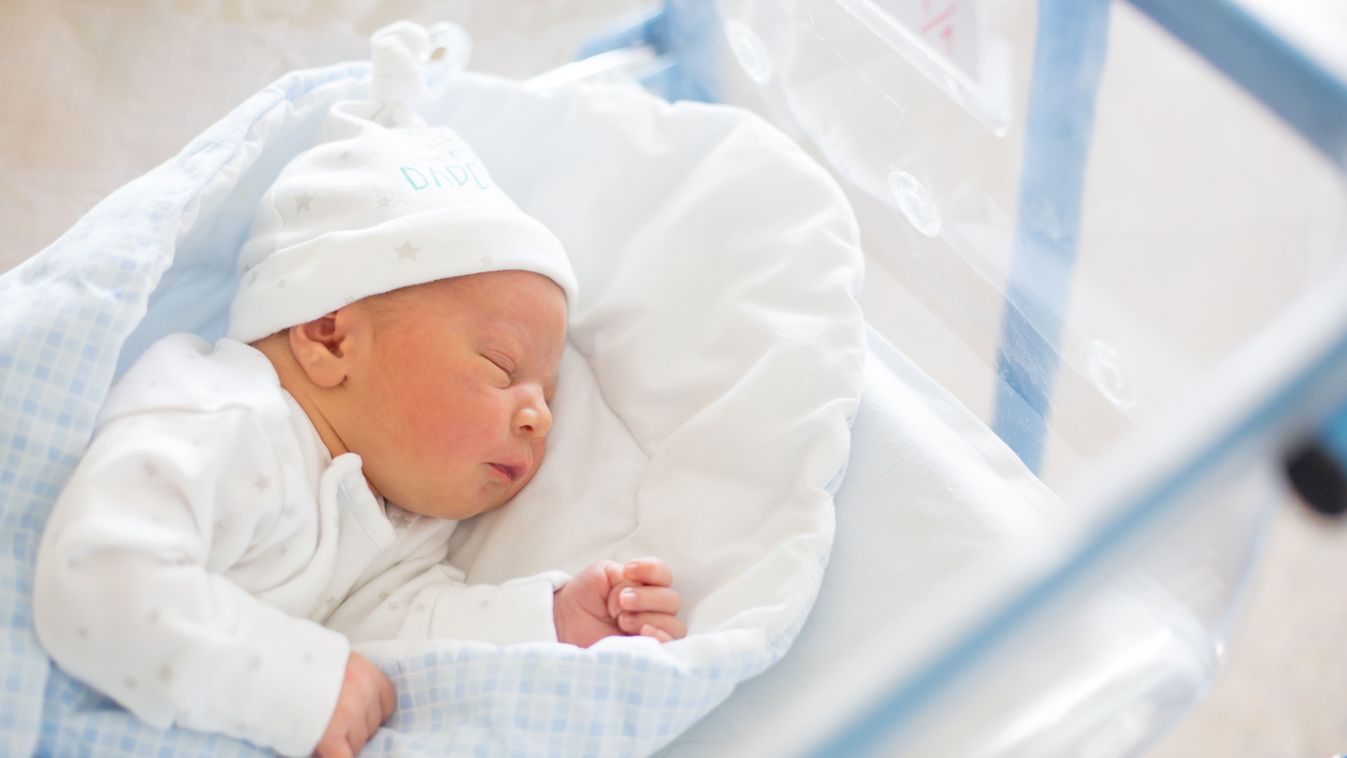 Somogyi gólyahír: Éva a legnagyobb, Bence és Alíz a legkisebb újszülöttek ezen a héten