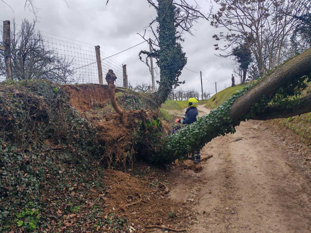 Szélvihar tombolt Somogyban
