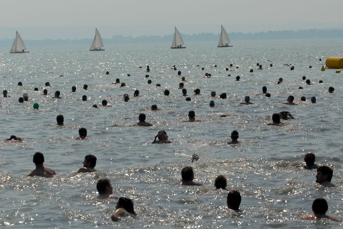 Balaton-átúszás: közel a 250 ezredik induló!