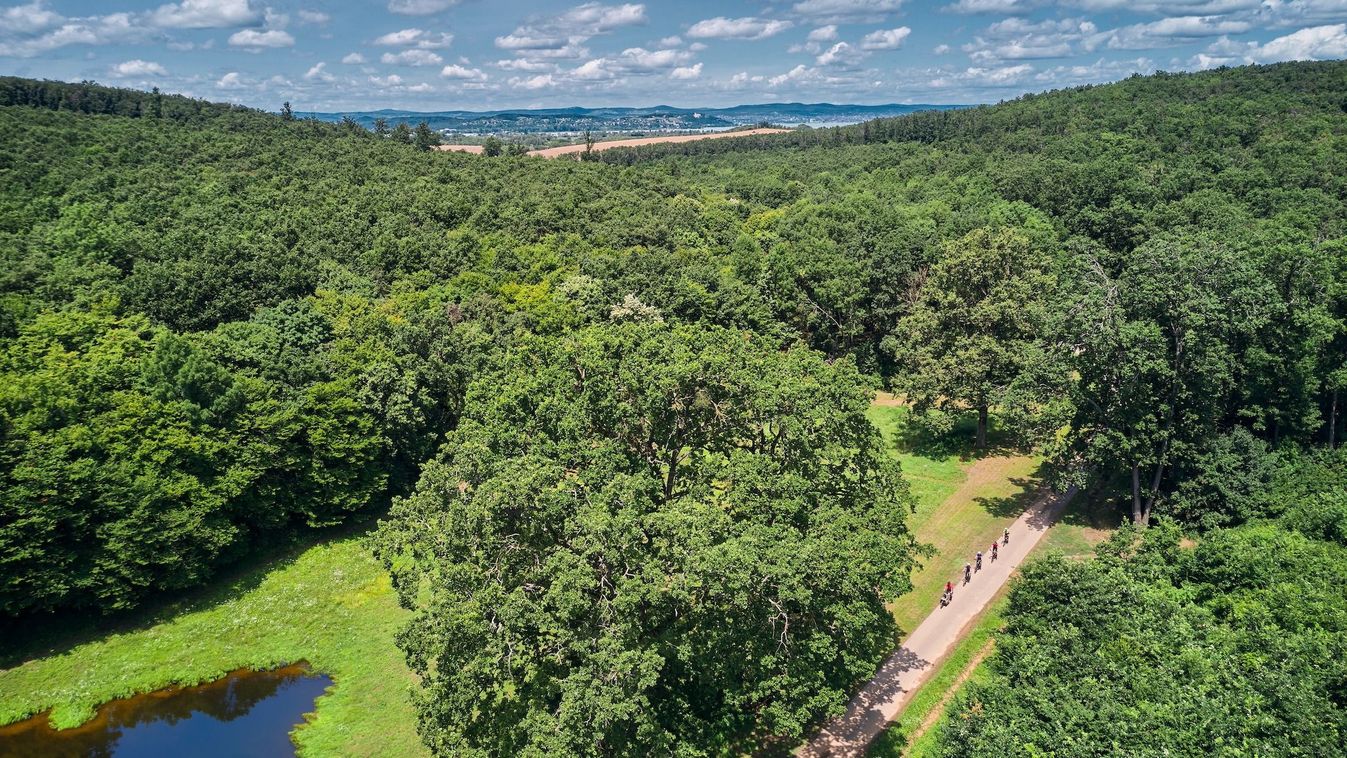 Szavazz az Év Kerékpárútjára 2025-ben