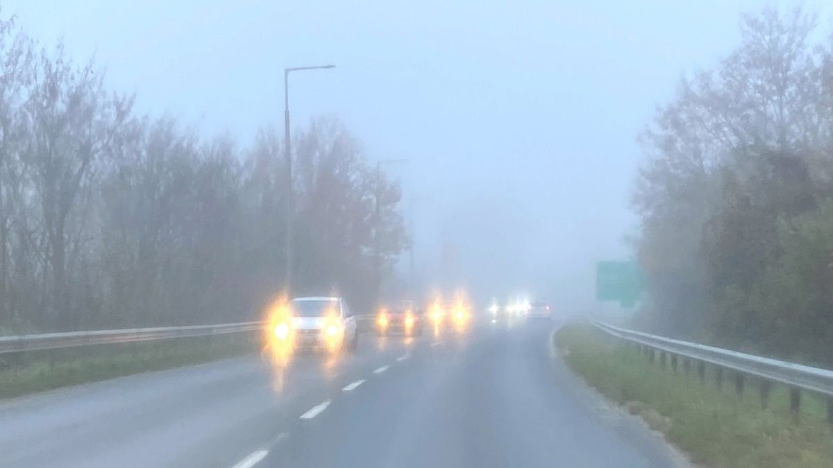 Fotos de bucetas de mulher morena