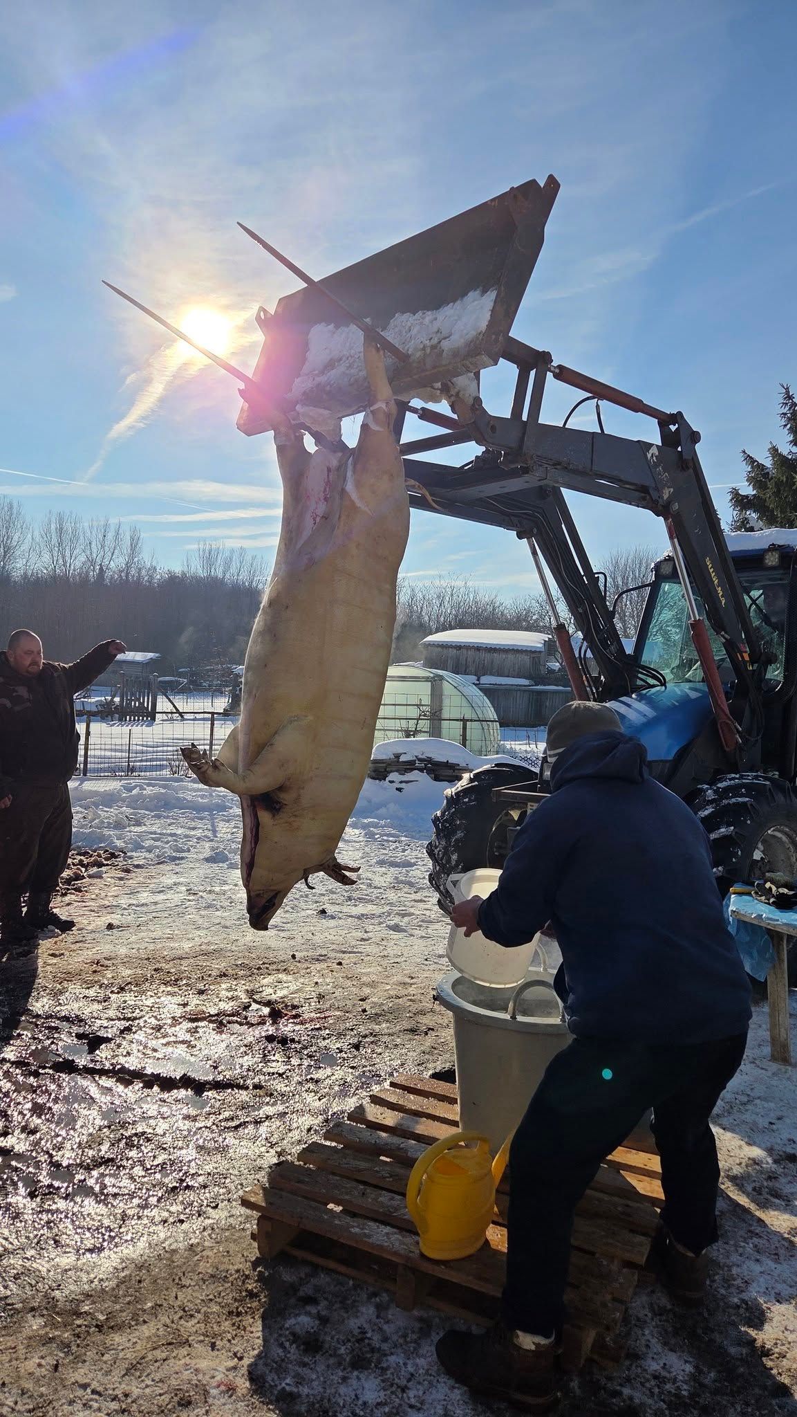 Fotókat kaptunk a somogyi téli mesevilágról