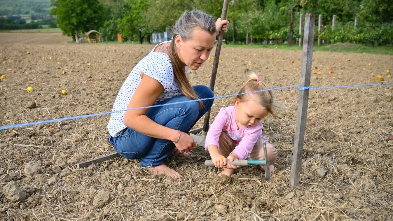 Saját birtok a Balaton közelében már egy telek áráért is akár